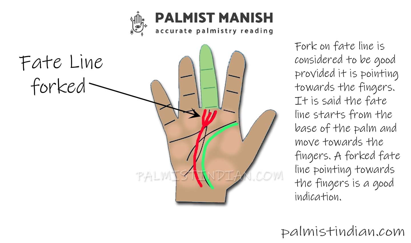 32 Different type of Fate line Palmistry - Saturn line/Destiny Palmist ...