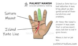 32 Different type of Fate line Palmistry - Saturn line/Destiny Palmist ...