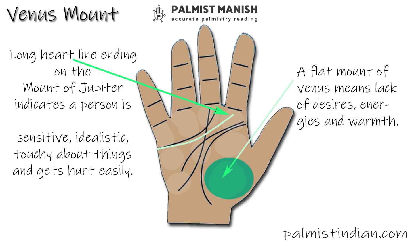 Mount of Venus in palmistry With Illustration | Palmist Manish