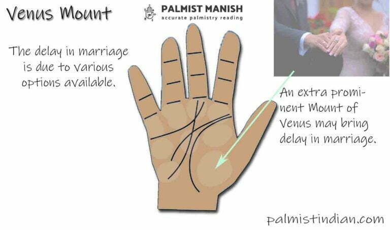 Mount of Venus in palmistry With Illustration | Palmist Manish